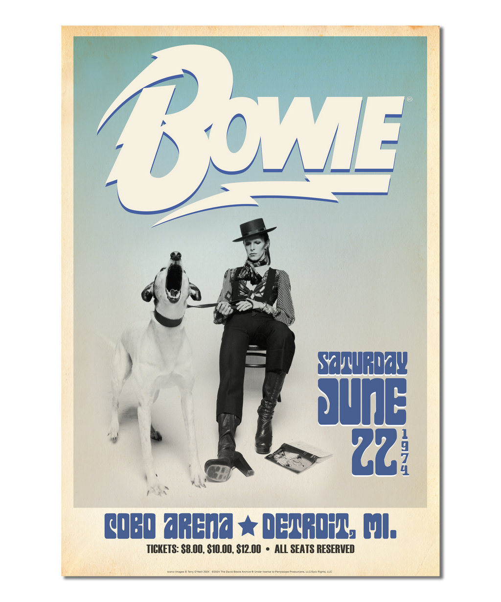 Capturing Bowie's Magic: Diamond Dogs Live in Detroit Art Prints – STUDIO MAXE